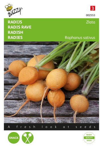 Radijs zaden kopen, Gele ronde Zlata (radijsjes) | Moestuinland Radijs zaden kopen, Gele ronde Zlata (radijsjes) | Moestuinland